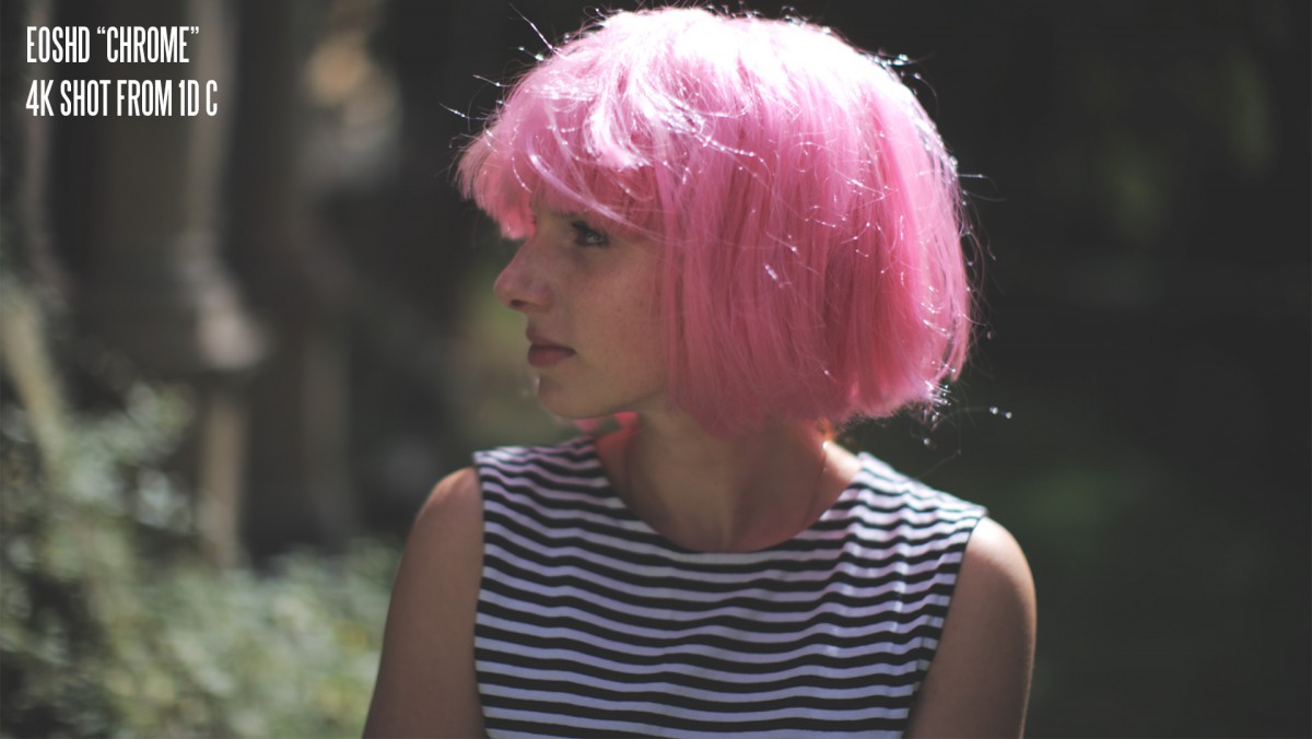 EOSHD C-LOG and Film Simulation Picture Profiles for Canon - EOSHD.com ...