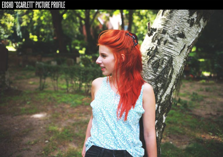 EOSHD C-LOG and Film Simulation Picture Profiles for Canon - EOSHD.com ...