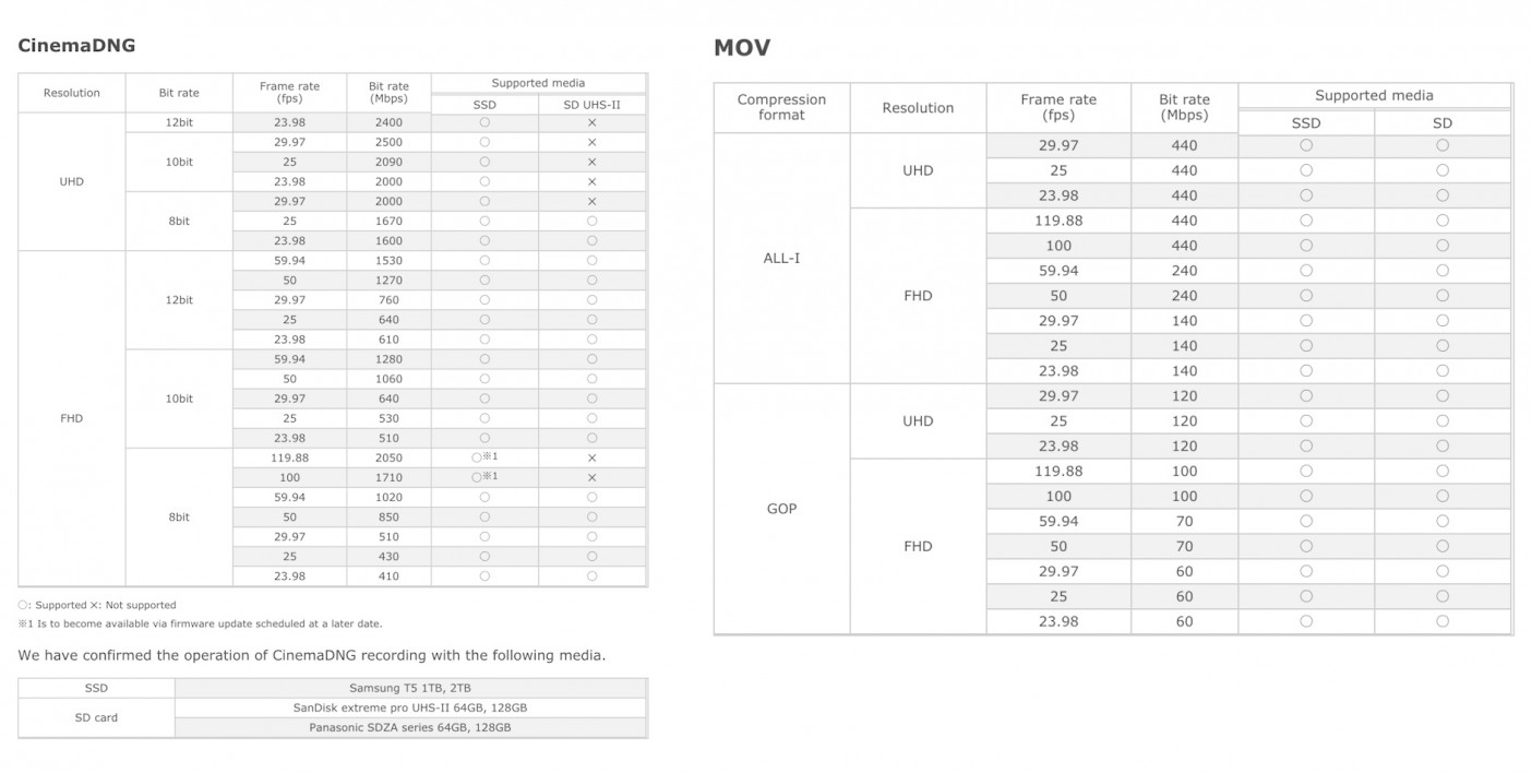 Sigma Fp first shots - how does internal 8bit RAW compare to external ...