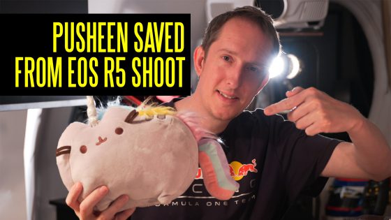 Death by 1000 Canon Fanboys and Philip Bloomers - EOSHD.com ...