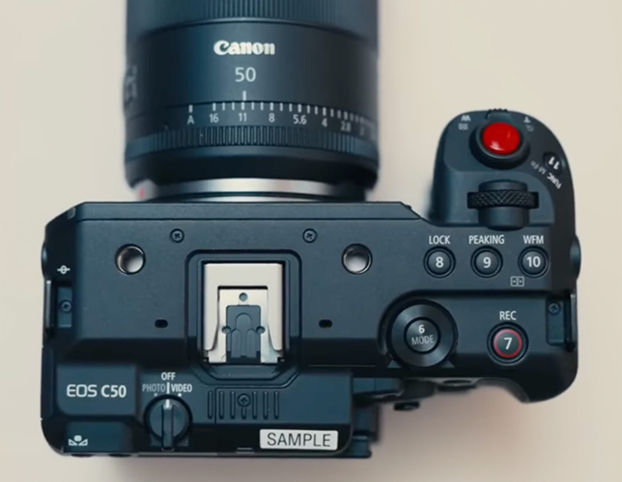 Nikon Zr and Canon Cinema EOS C50 pictured in the wild - EOSHD.com ...